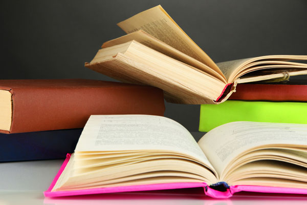 I nuovi sorprendenti romanzi del 2014…da leggere assolutamente ...