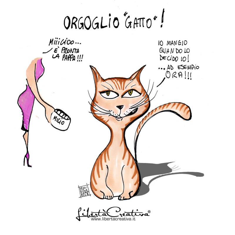Il gatto rosa di Fulvia Perillo